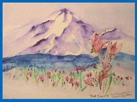 Plant Identification: Part 1-The Quest and Shooting Stars. | Radical Botany